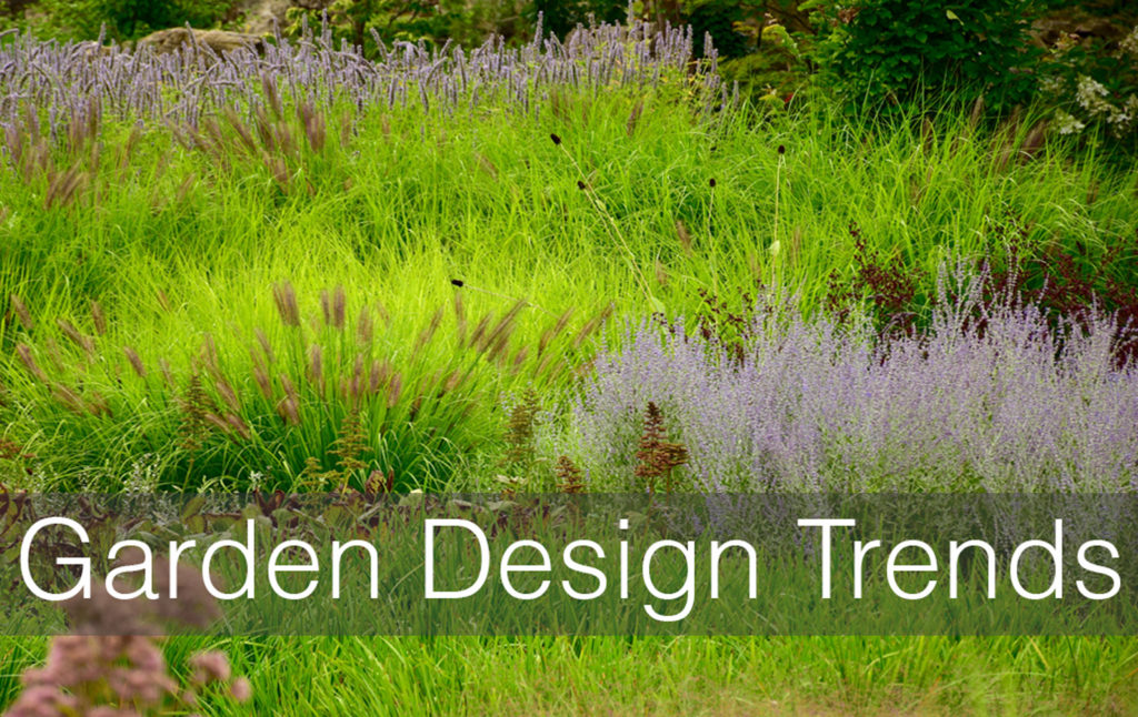 From Rewilding to Smart Gardens: 2024 Garden Design Trends - Blondie's ...